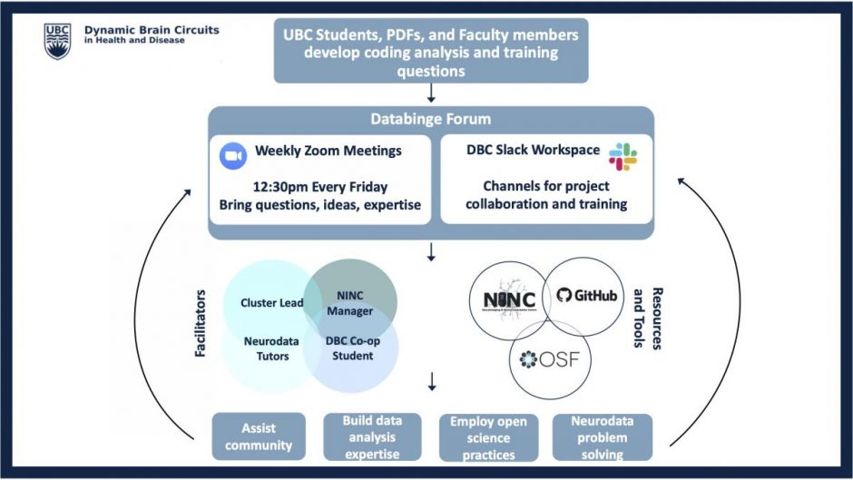 Databinge | UBC Brain Circuits Cluster