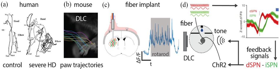 Fiber Photometry | UBC Brain Circuits Cluster