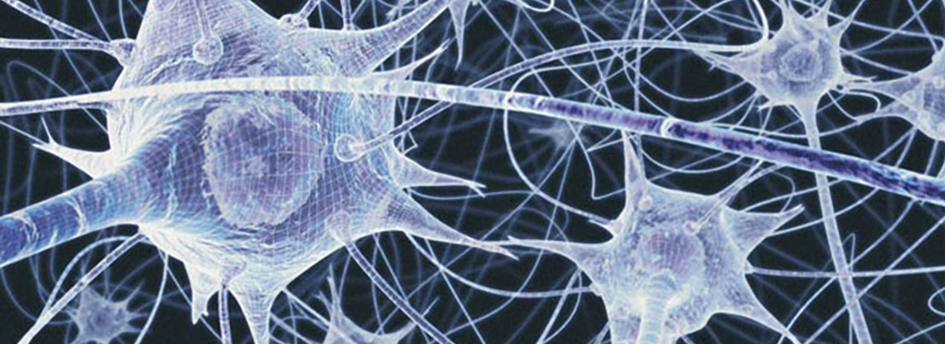 Projects | UBC Brain Circuits Cluster